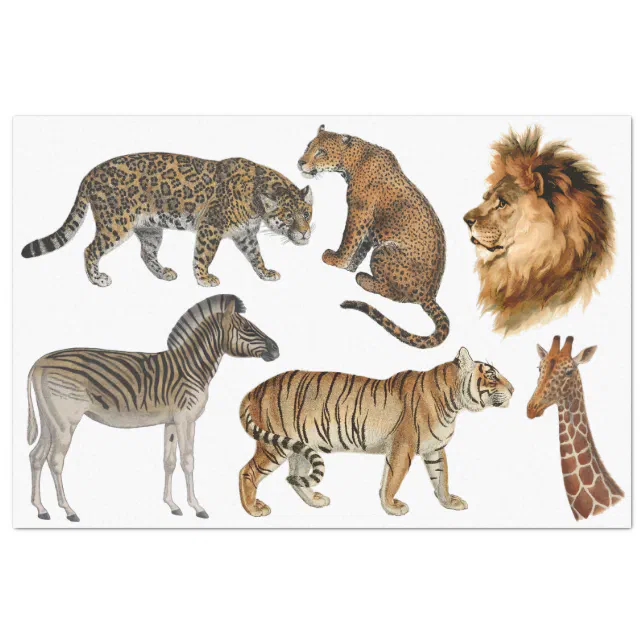 Africa Wild Animals Lion Leopard Vintage Decoupage Tissue Paper | Zazzle