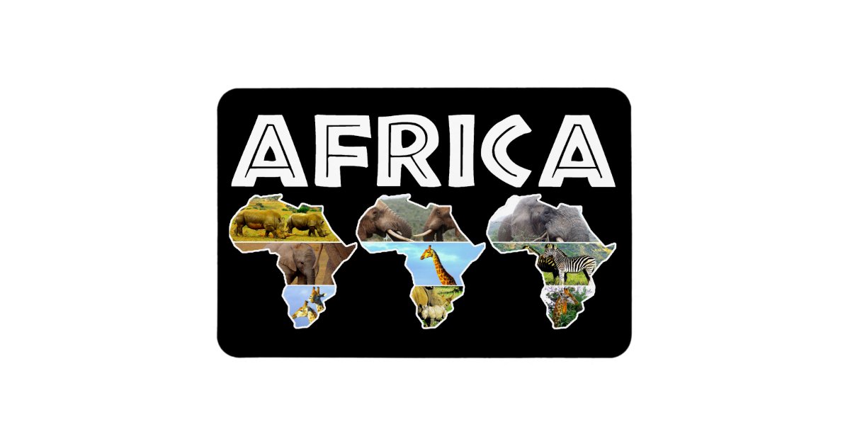 Africa Wildlife Continent Trio Collage Magnet | Zazzle