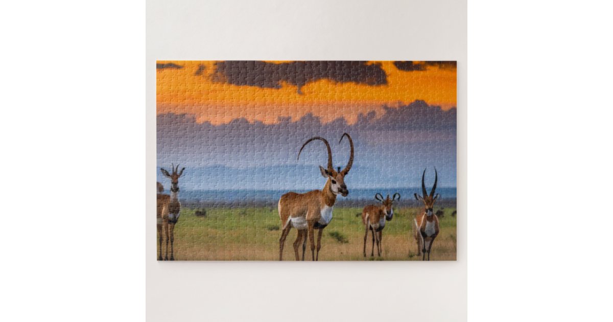 African Animal Springbok Puzzle | Zazzle