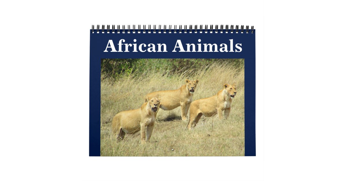 african animalia calendar | Zazzle