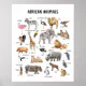 African Animals Educational Classroom Poster | Zazzle