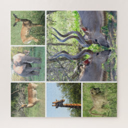 african animals jigsaw puzzle | Zazzle