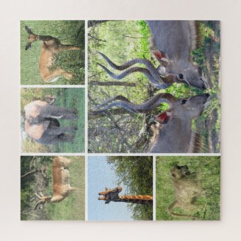 african animals jigsaw puzzle | Zazzle