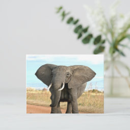 African Bush Elephant Marching to success goal Postcard | Zazzle