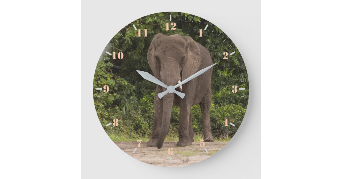 African elephant large clock | Zazzle