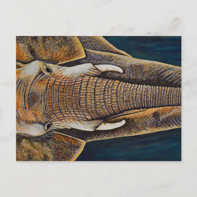 African Elephant Postcard | Zazzle