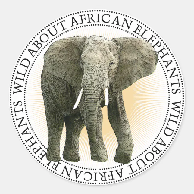 African Elephant Stickers | Zazzle