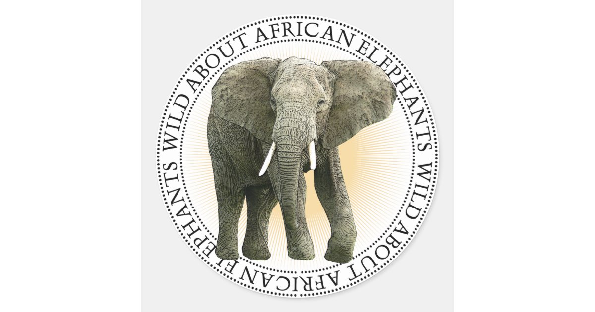 African Elephant Stickers | Zazzle