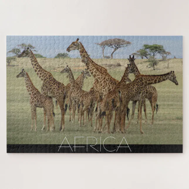 african giraffes jigsaw puzzle | Zazzle