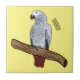 African grey parrot cartoon illustration ceramic tile | Zazzle