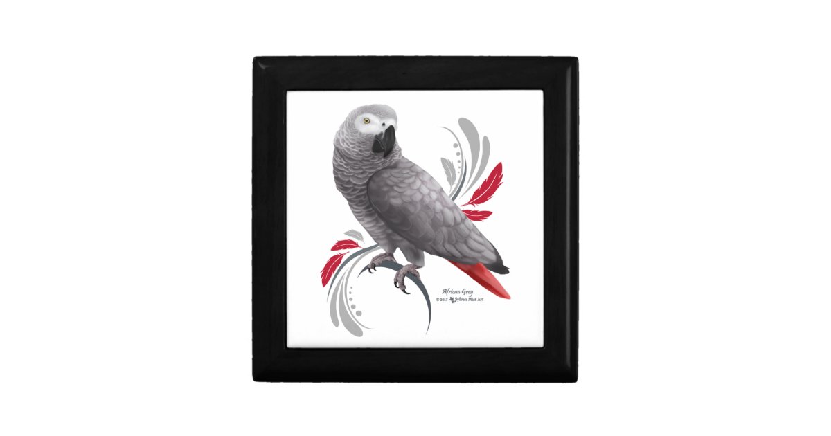 African Grey Parrot Jewelry Box | Zazzle