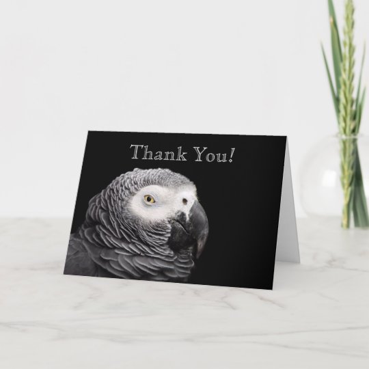 African Grey Parrot Thank You Card | Zazzle.com