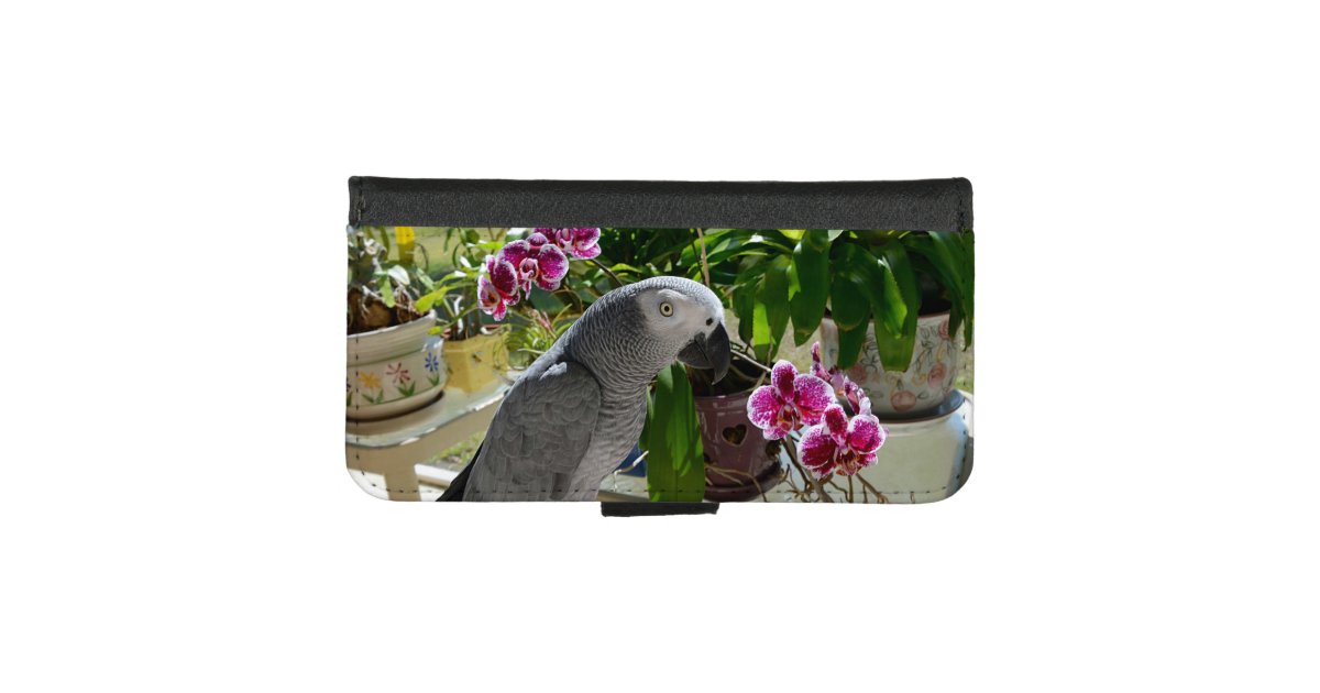 African Grey Parrot with Orchids iPhone Wallet Case | Zazzle