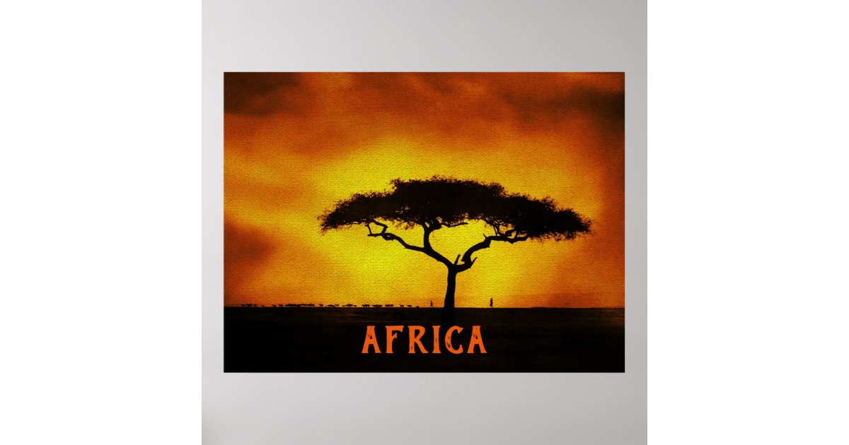 African Landscape Acacia Tree Poster | Zazzle