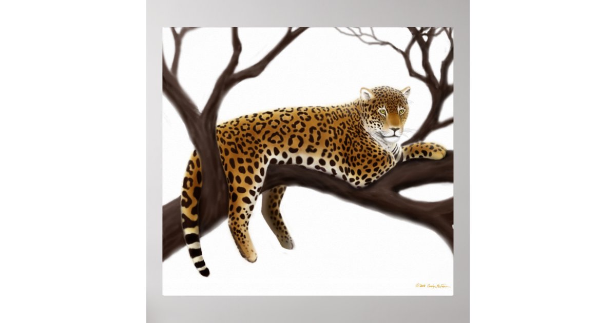 African Leopard Poster | Zazzle