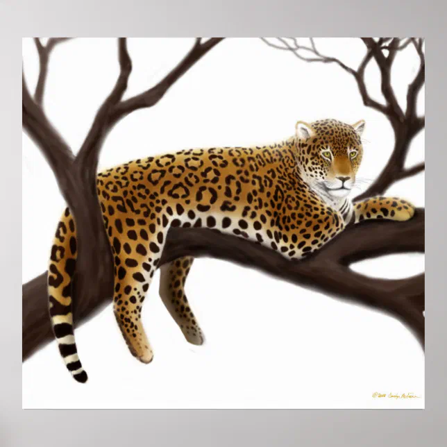 African Leopard Poster | Zazzle