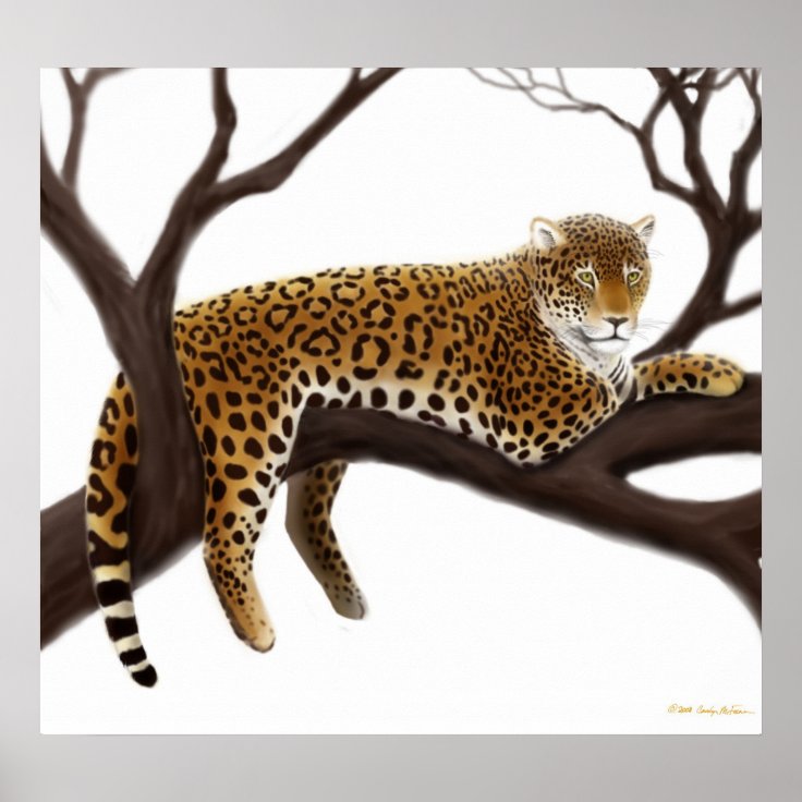 African Leopard Poster | Zazzle