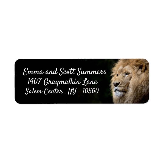 African Lion Animal Address Labels | Zazzle.com