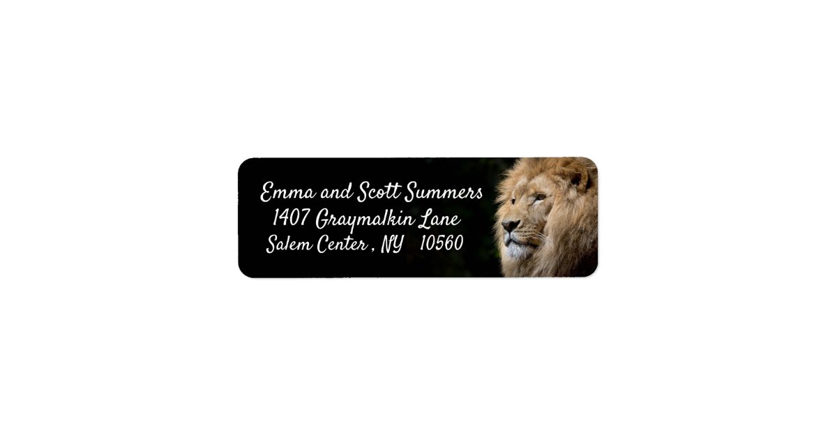 African Lion Animal Address Labels | Zazzle.com