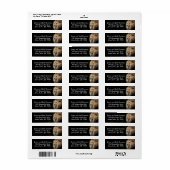 African Lion Animal Address Labels | Zazzle