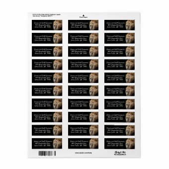 African Lion Animal Address Labels | Zazzle