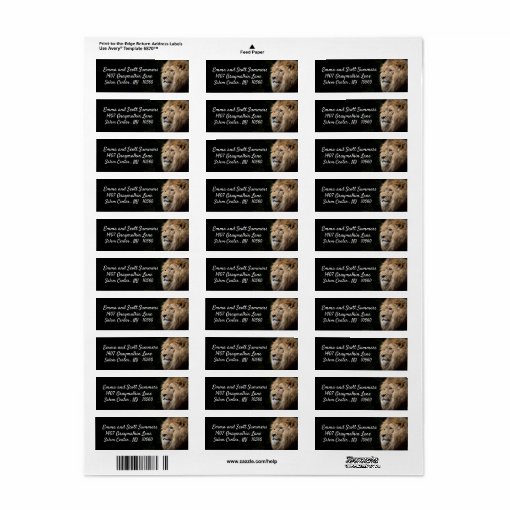 African Lion Animal Address Labels | Zazzle