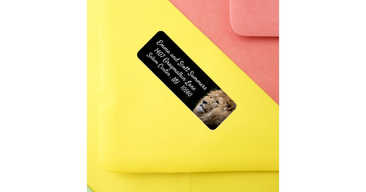African Lion Animal Address Labels | Zazzle