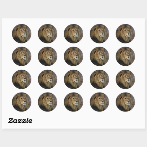 African Lion Classic Round Sticker | Zazzle