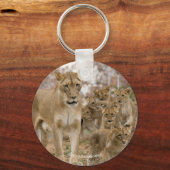 African Lion Cubs with Mother Keychain | Zazzle