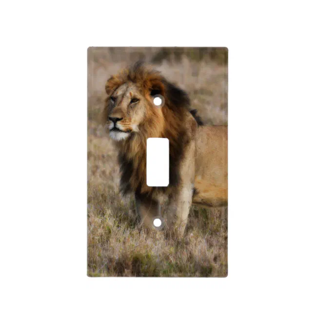 African Lion Light Switch Plate | Zazzle