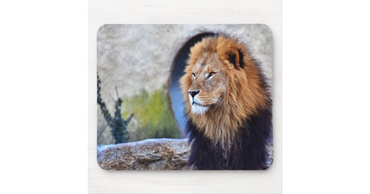 African Lion Mouse Pad | Zazzle