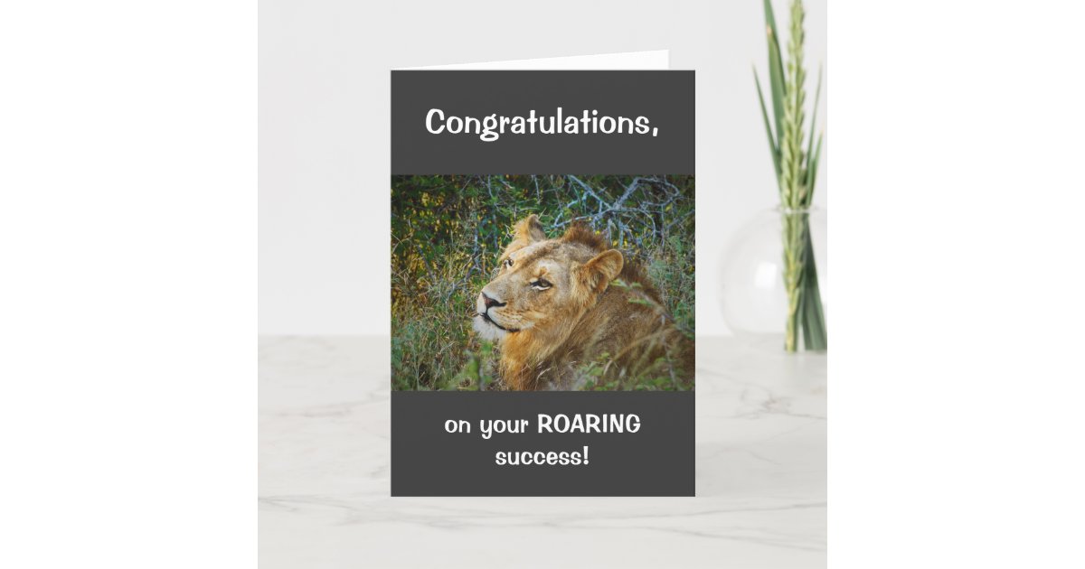 African male lion congratulations roaring success card | Zazzle