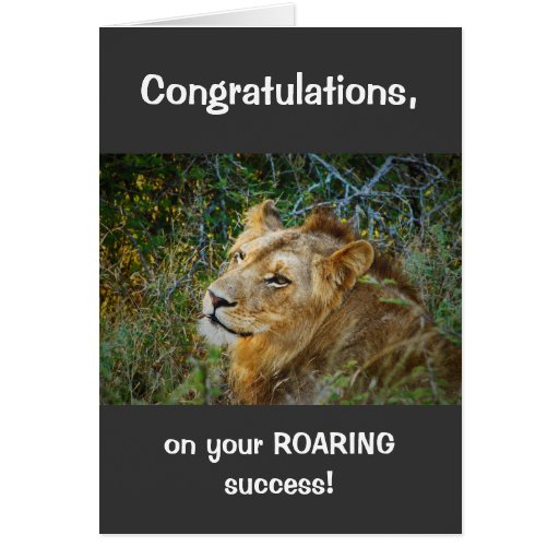 African male lion congratulations roaring success card | Zazzle
