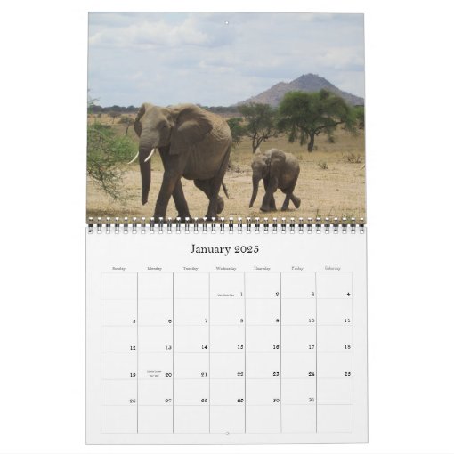 african safari 2016 calendar | Zazzle