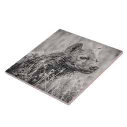 African Spotted Hyena Ceramic Tile | Zazzle