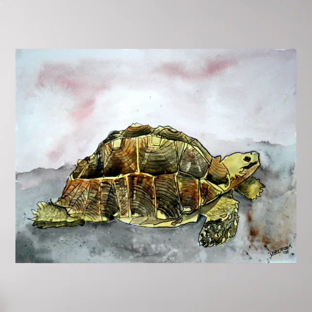 african tortoise land turtle poster print painting | Zazzle