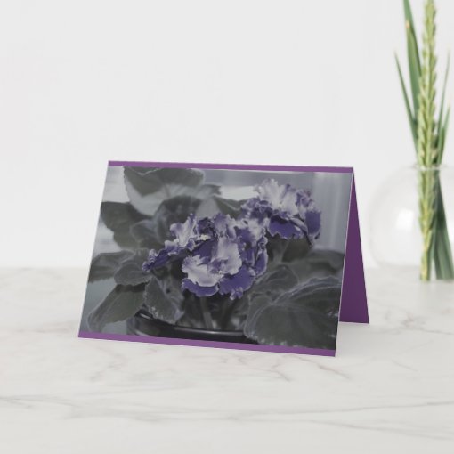 African Violet birthday Card | Zazzle