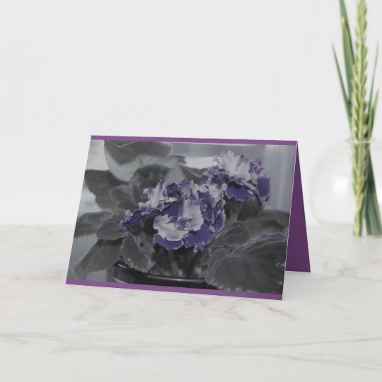 African Violet birthday Card | Zazzle.com