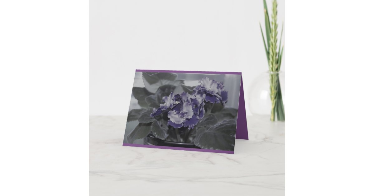 African Violet birthday Card | Zazzle