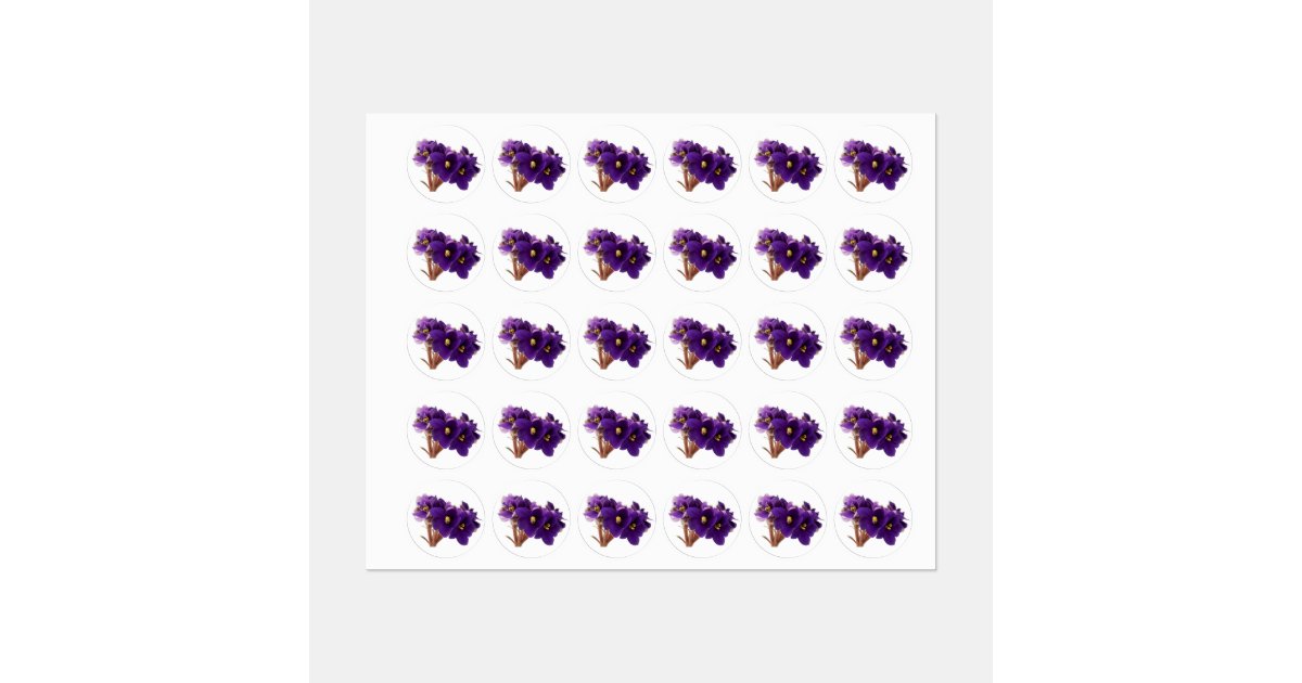 African violet labels | Zazzle