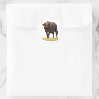African Water Buffalo Classic Round Sticker | Zazzle