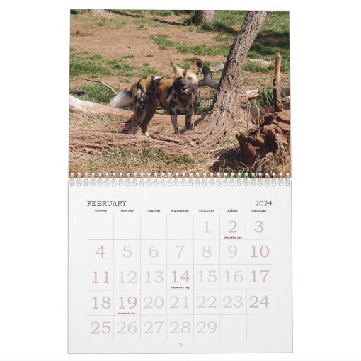 african-wild-dog-012, African Wild Dog Calendar | Zazzle