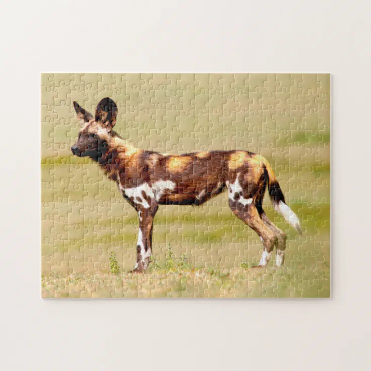 African Wild Dog (Lycaon Pictus) Standing Jigsaw Puzzle | Zazzle