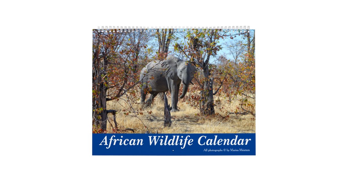 African Wildlife Calendar | Zazzle