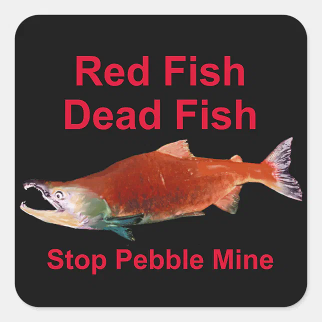 After Salmon - Stop Pebble Mine Square Sticker | Zazzle