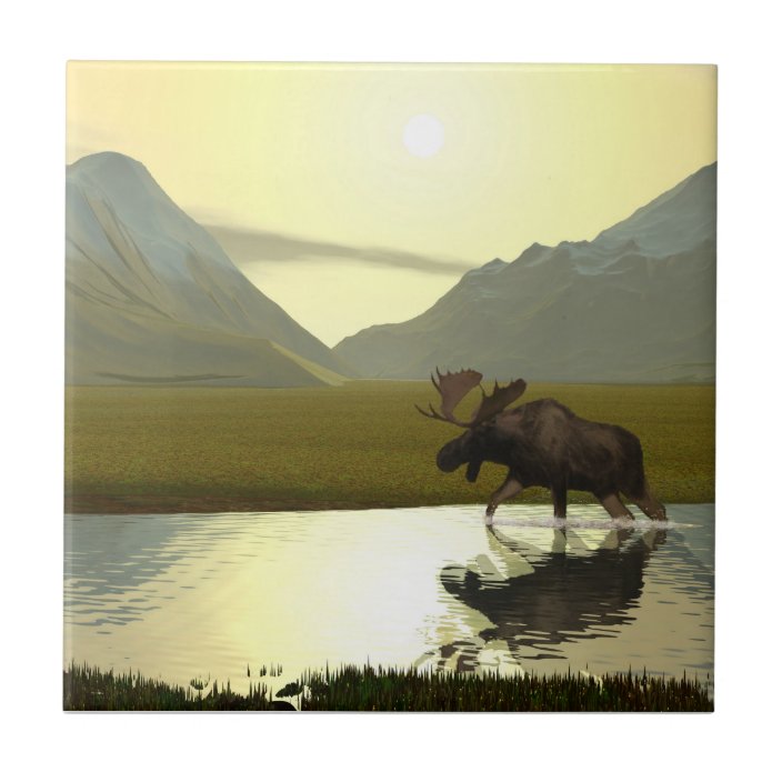 Afternoon Moose Tile | Zazzle.com