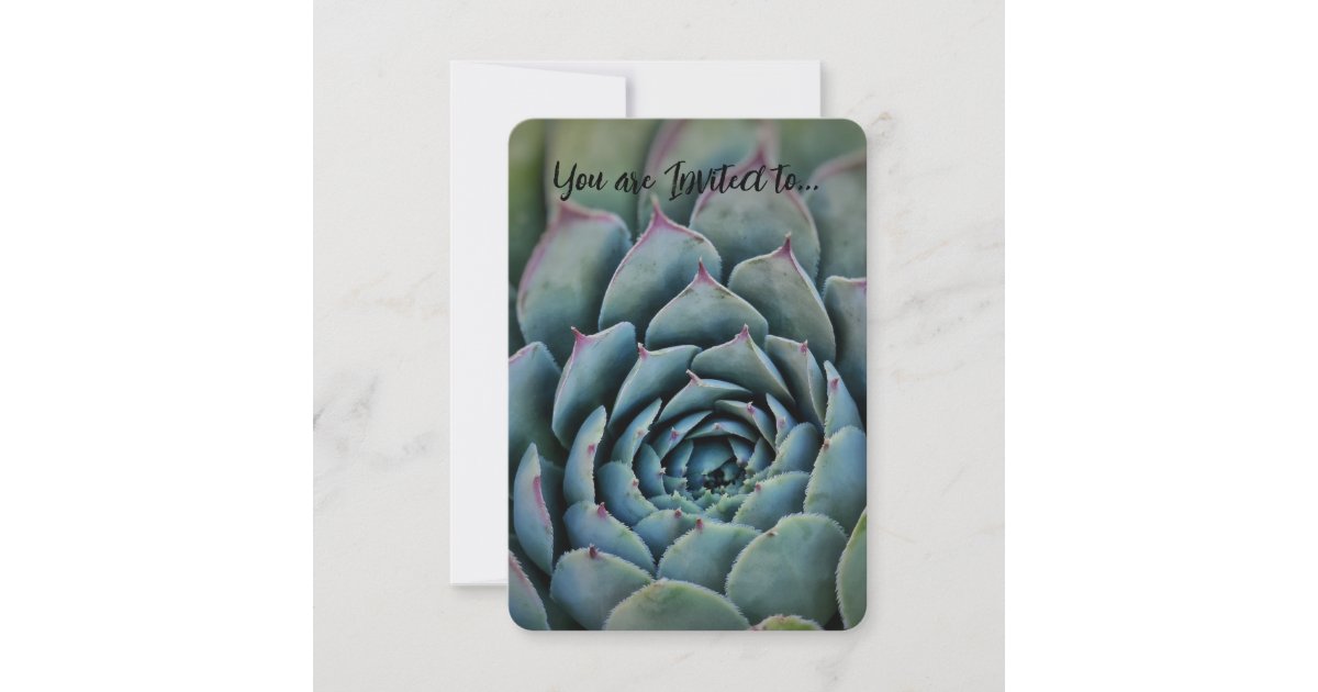 Agave Artichoke flower, nature, Invitation | Zazzle