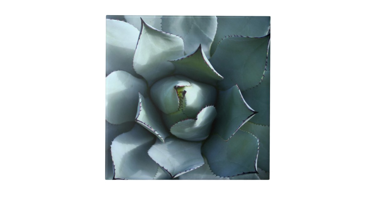 agave blue ceramic tile | Zazzle