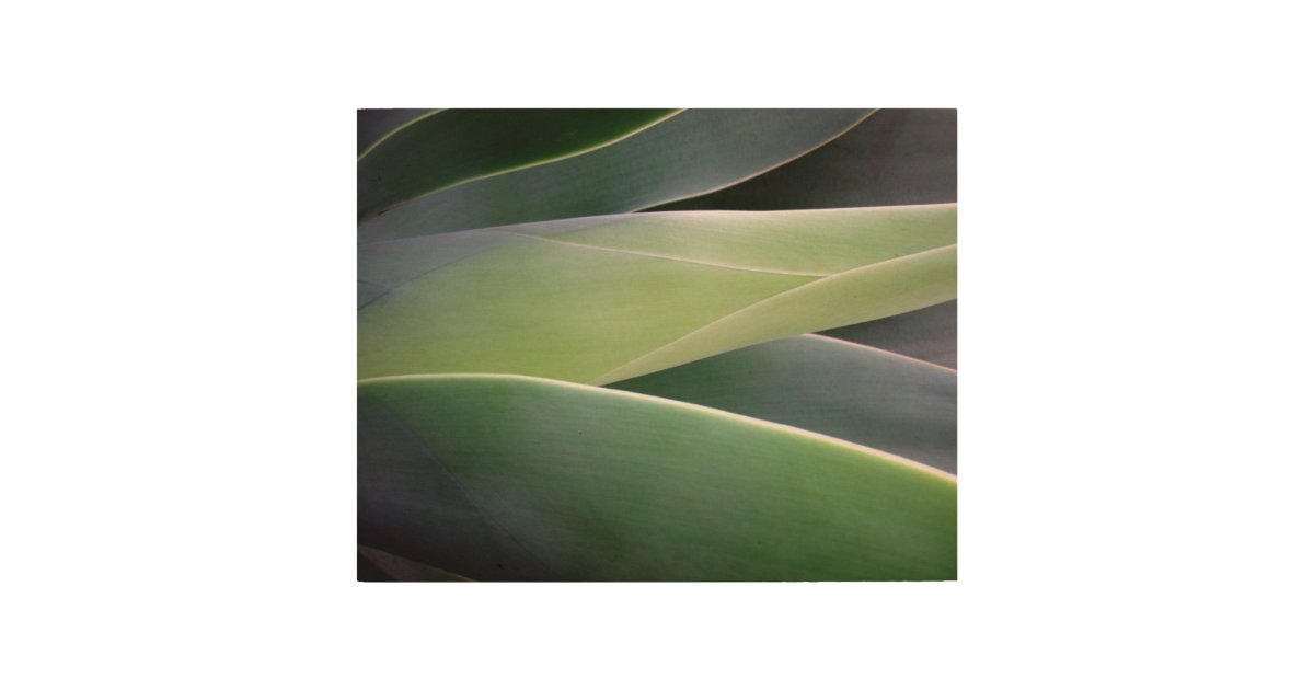 Agave Leaves Wood Wall Art | Zazzle