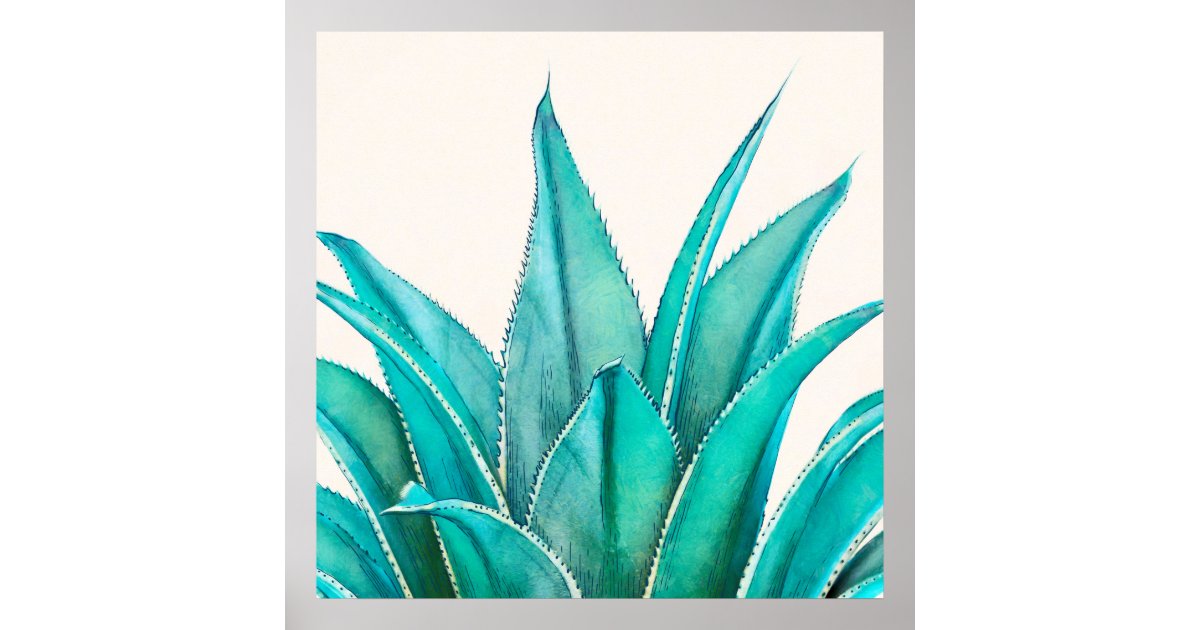 Agave Poster | Zazzle